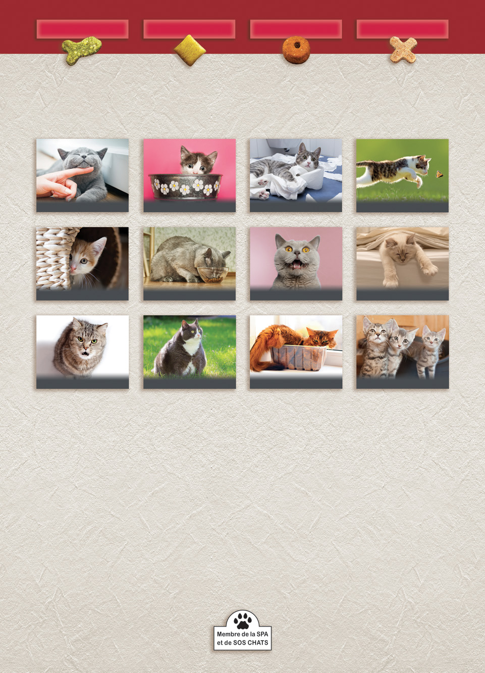 geneva-cats-service